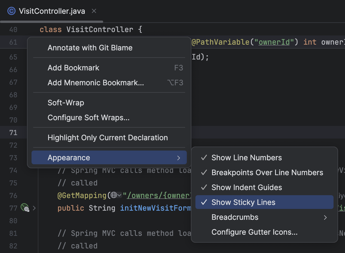 Sticky lines | IntelliJ IDEA Documentation