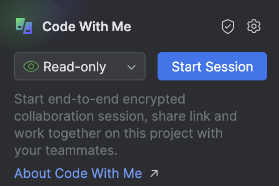 Getting started with Code With Me | IntelliJ IDEA Documentation