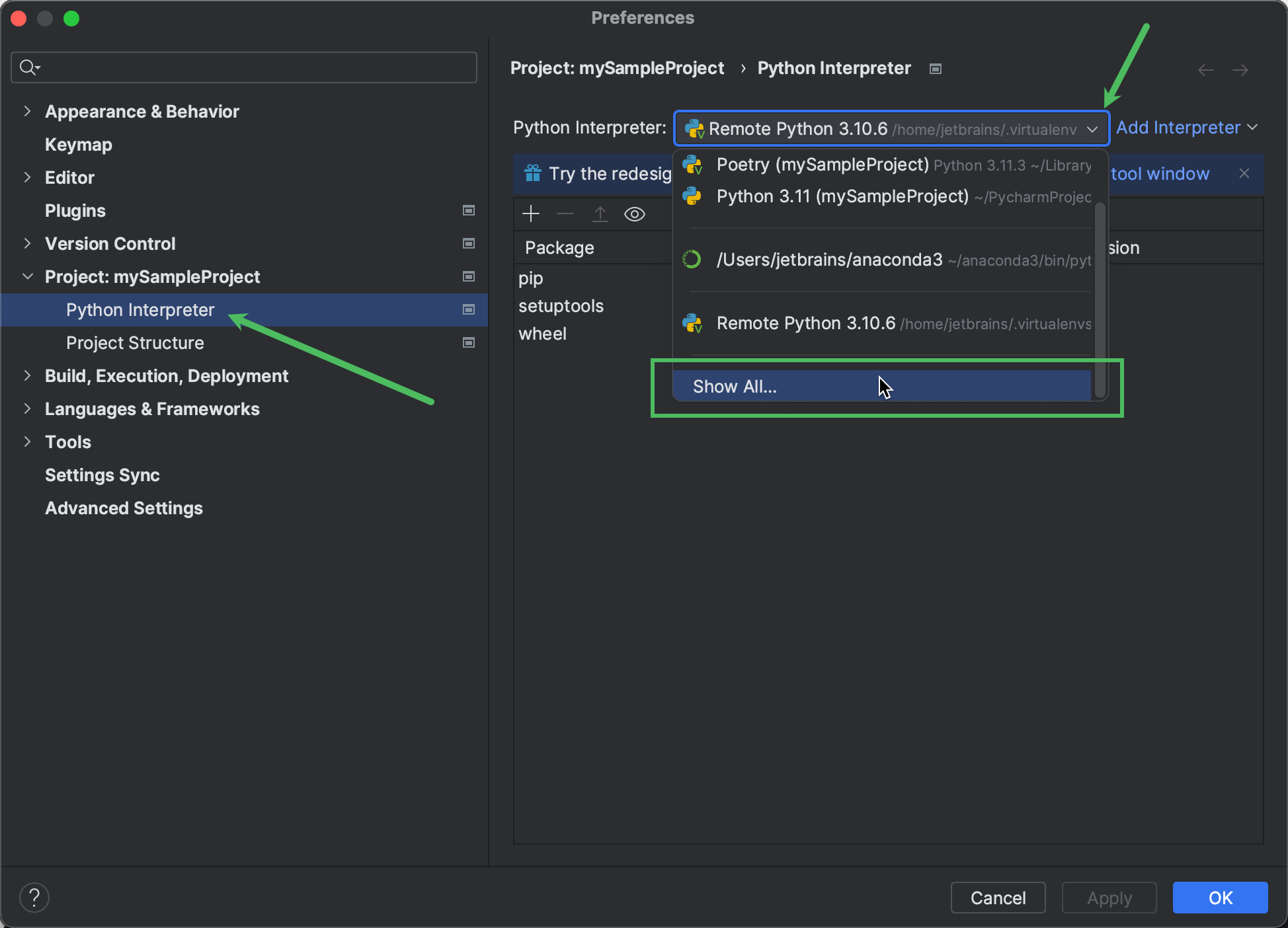 Manage interpreter paths | PyCharm Documentation