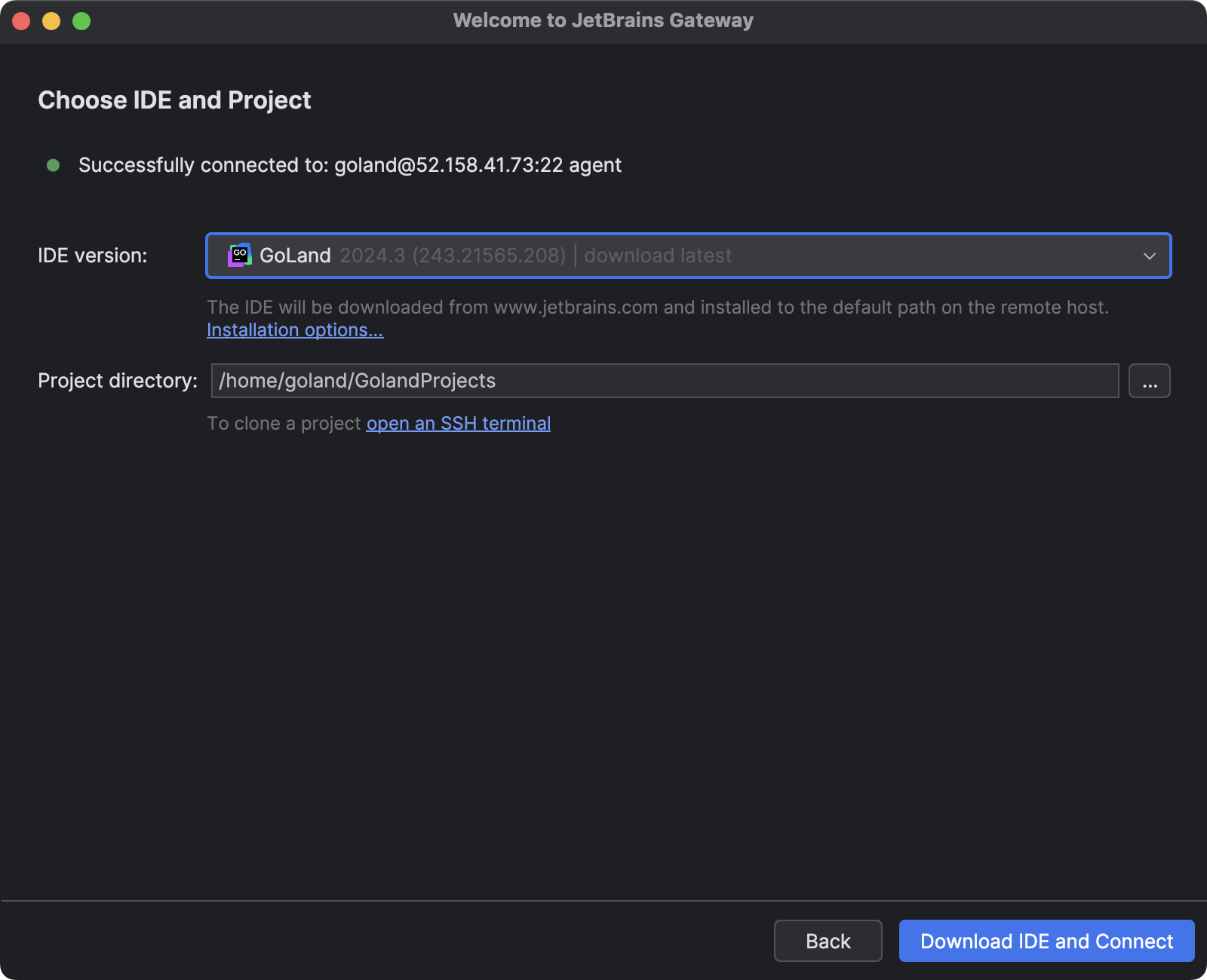 Connect and work with JetBrains Gateway | GoLand Documentation