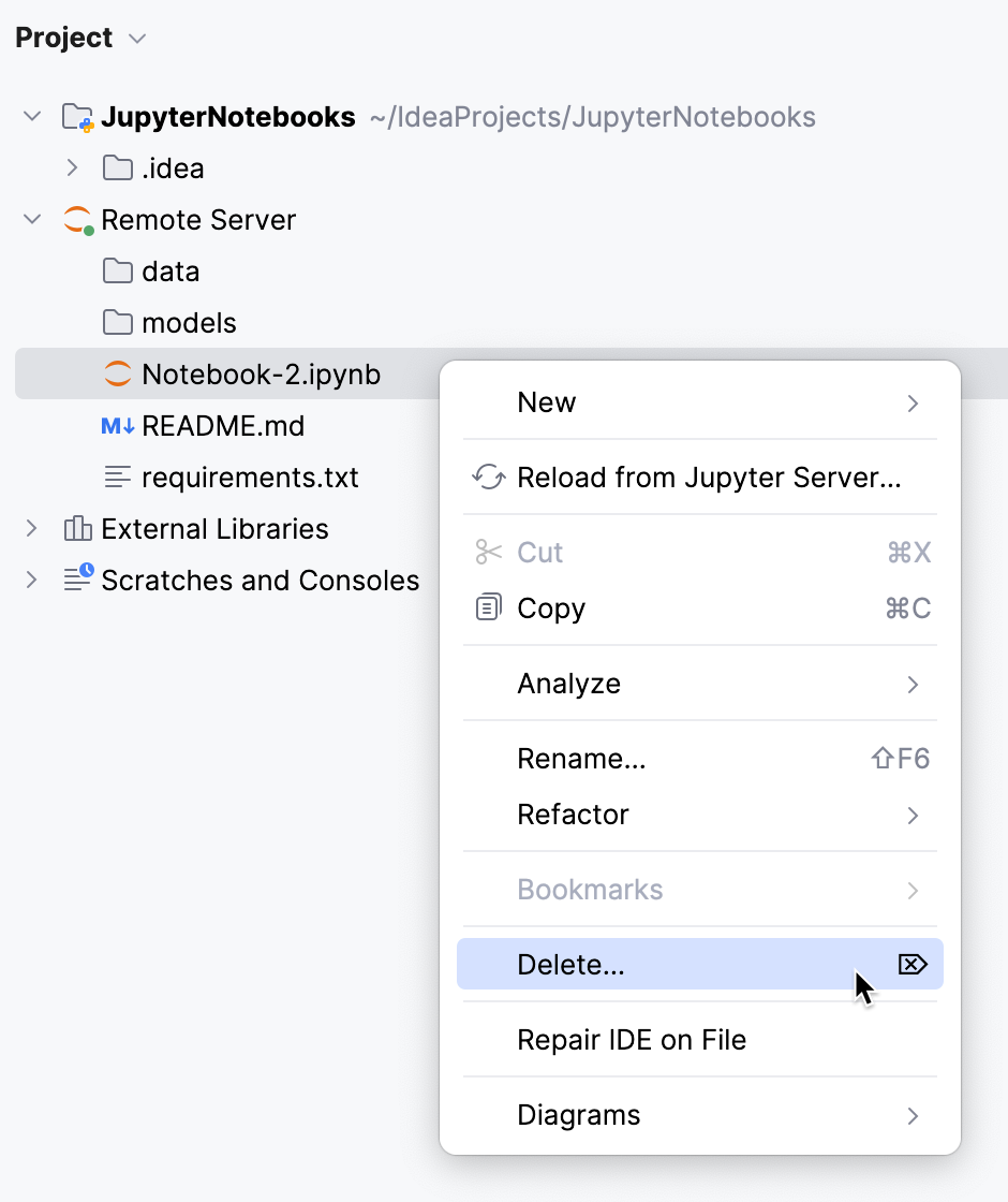 管理 Jupyter notebook 服务器 | IntelliJ IDEA 文档