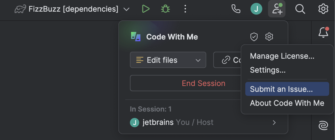 Getting started with Code With Me | IntelliJ IDEA Documentation