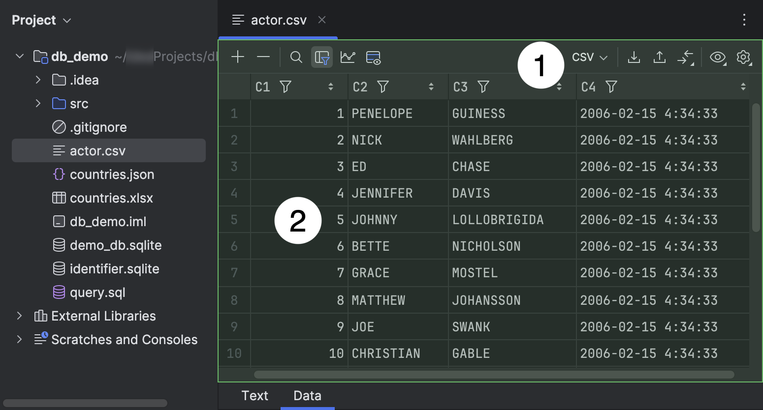 Data editor and viewer | IntelliJ IDEA Documentation
