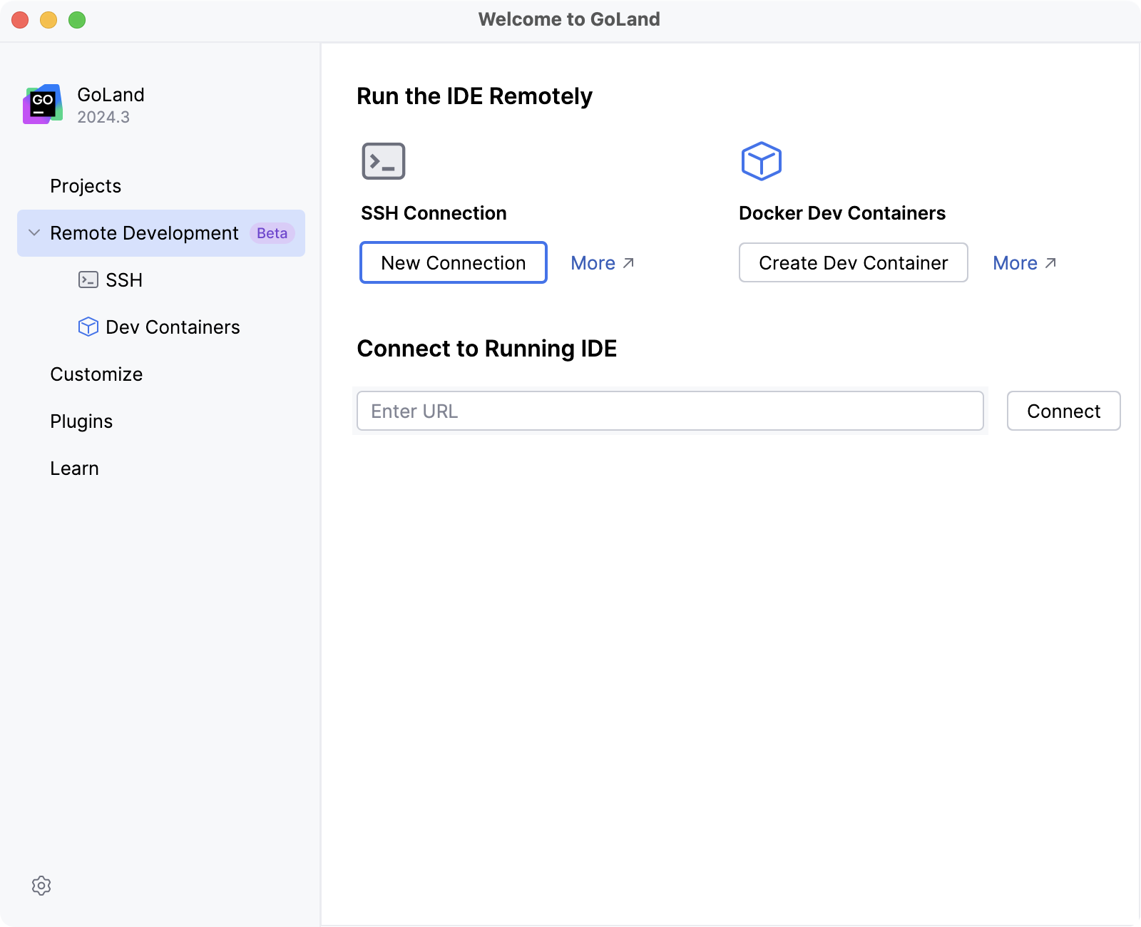Connect to a remote server from GoLand | GoLand Documentation