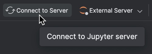 Manage Jupyter notebook servers | PyCharm Documentation