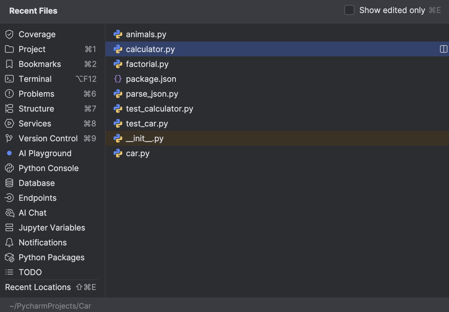 最近的文件和更改 | PyCharm 文档