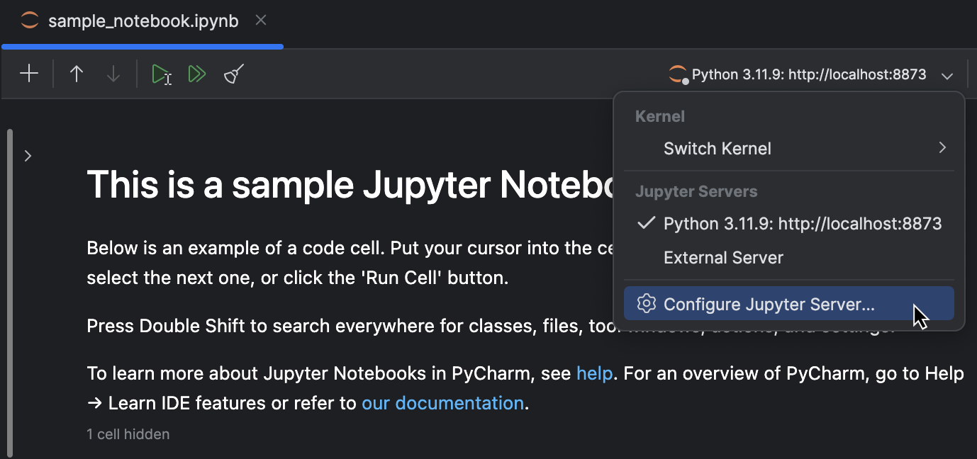 Manage Jupyter notebook servers | PyCharm Documentation