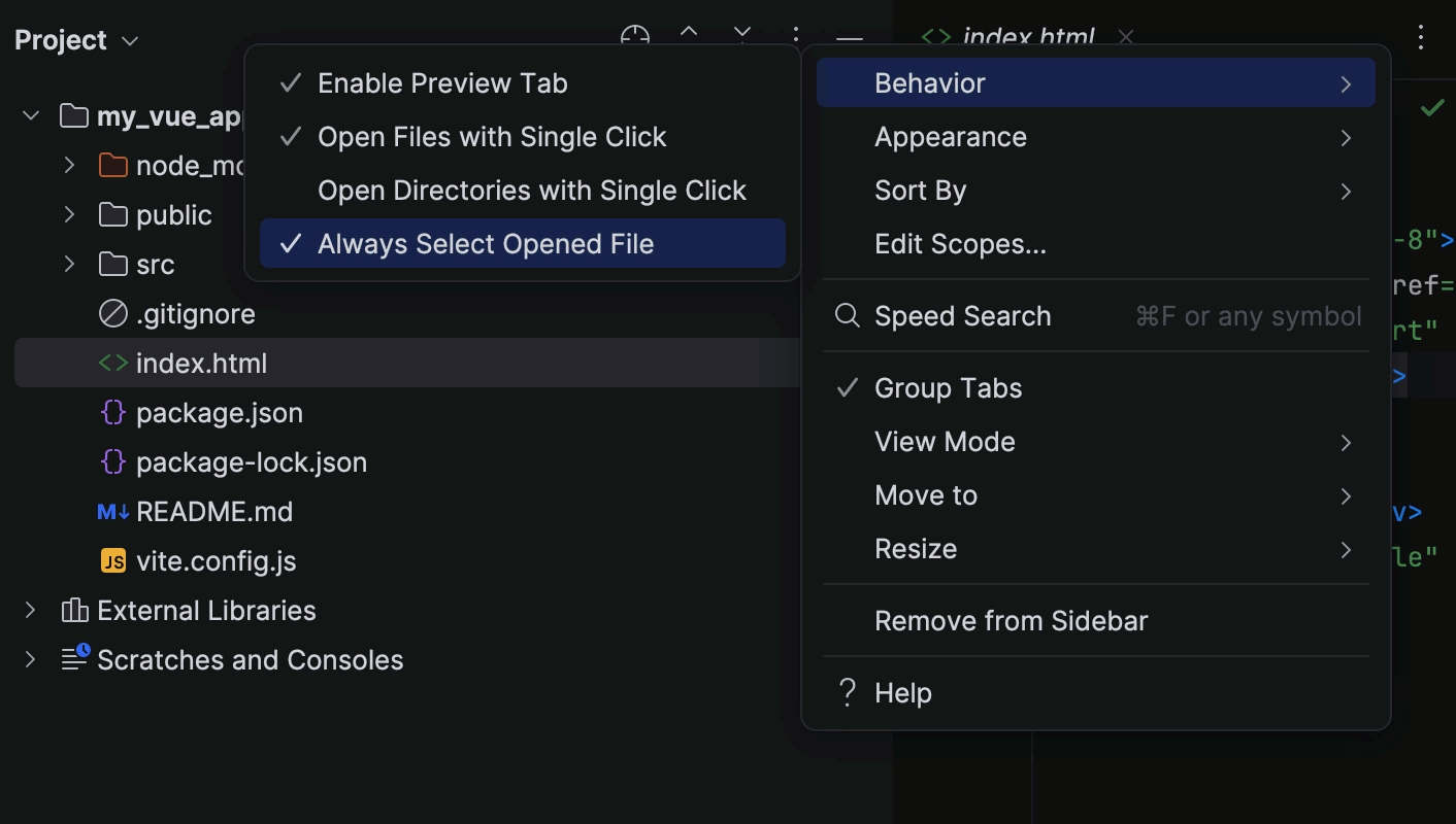 Getting started with WebStorm | WebStorm Documentation