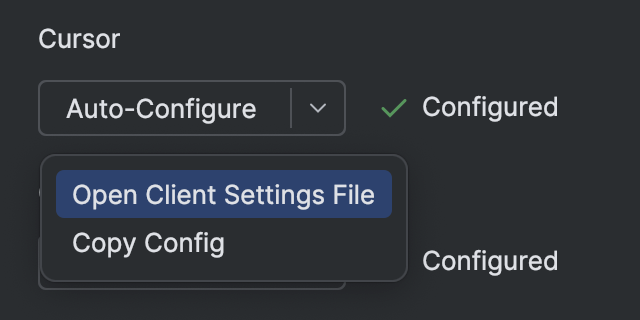 MCP 服务器 | IntelliJ IDEA 文档