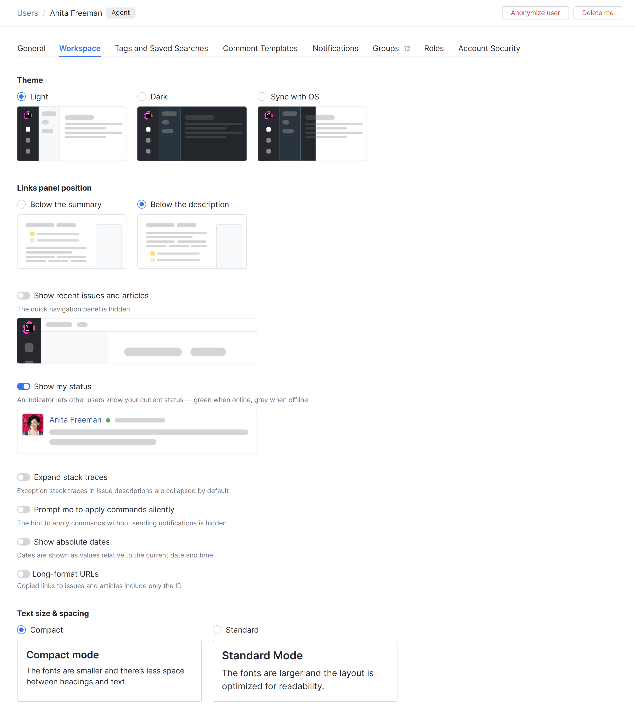 Workspace Settings | YouTrack Server Documentation